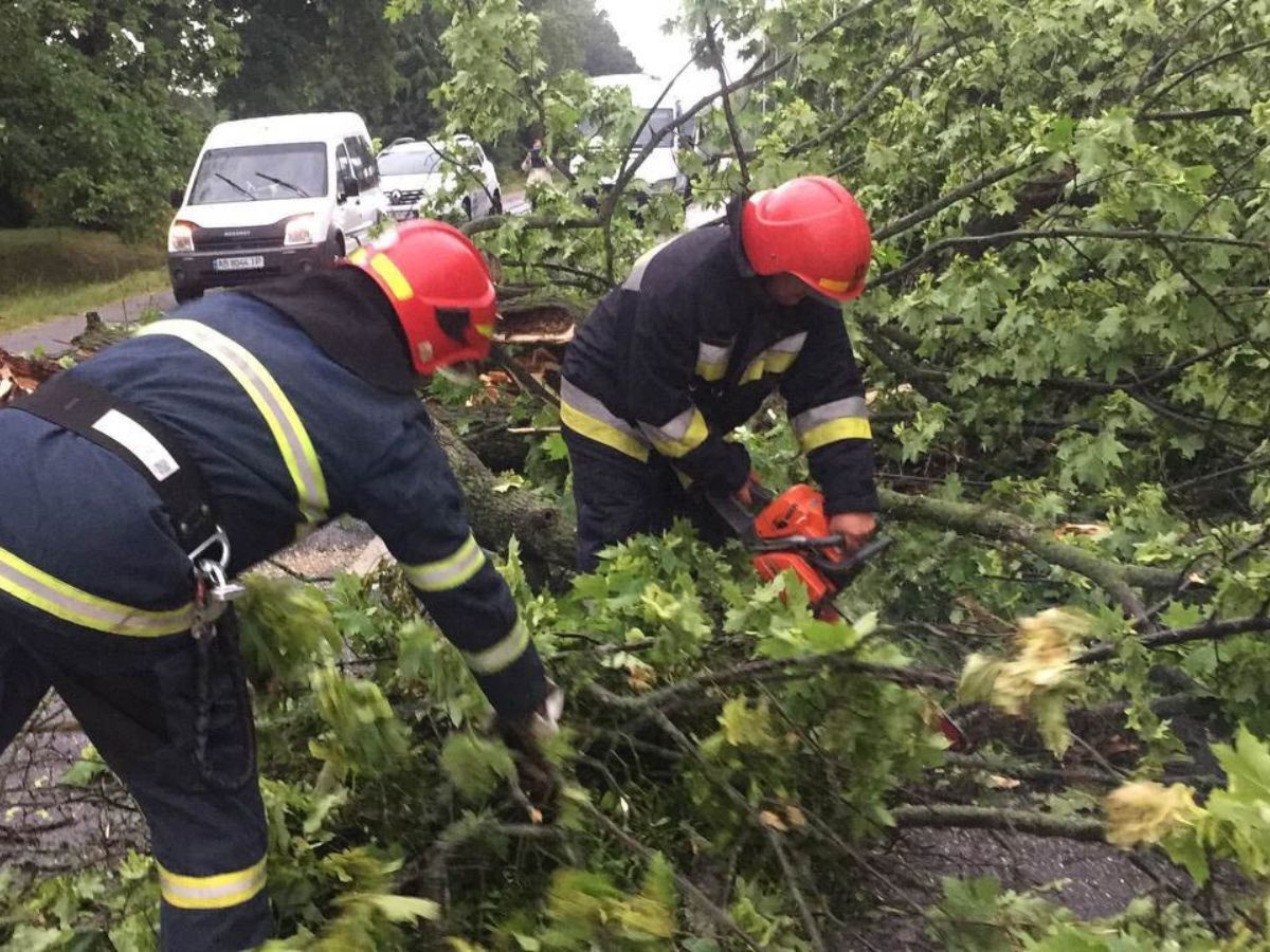 Дерева, які повалив вітер, перекрили три дороги на трасах на Вінниччині ...