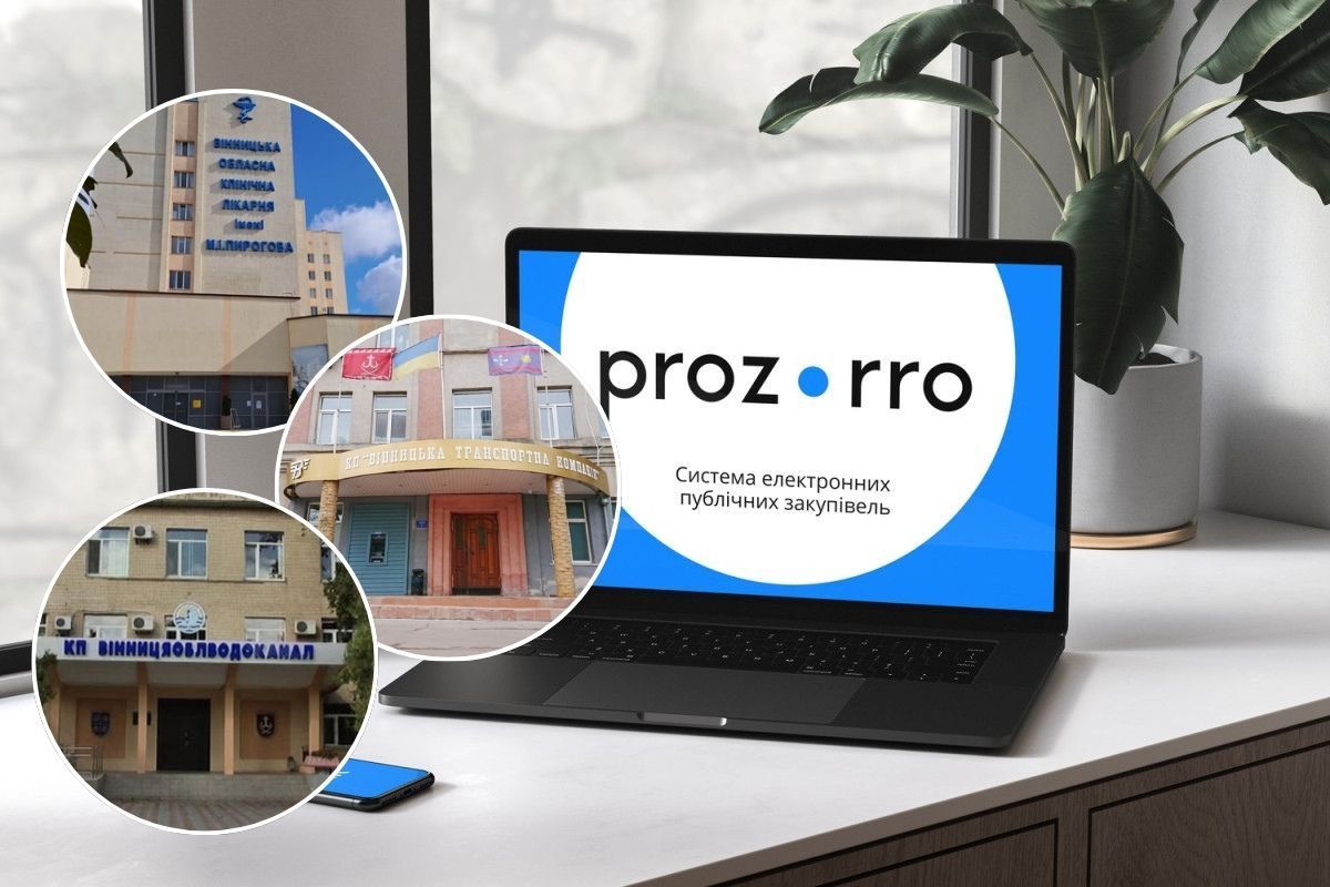 Хто у Вінницькій області має найбільше порушень у закупівлях Prozorro? Проаналізували скарги ...