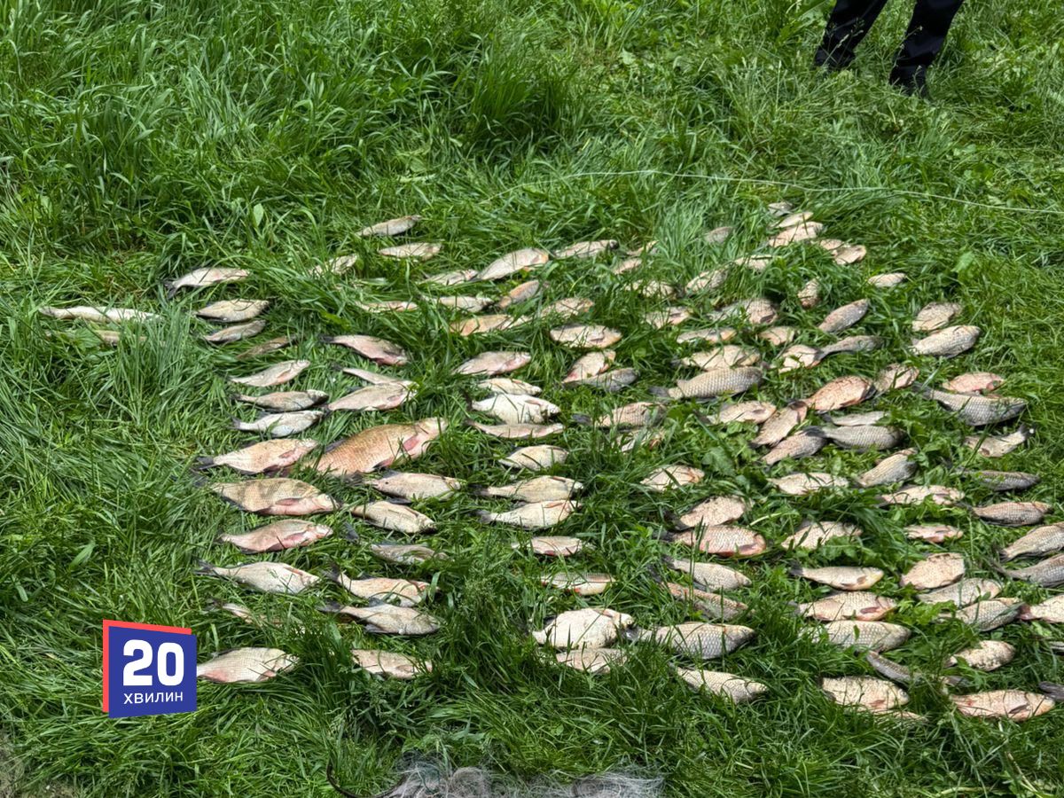 Браконьєр наловив риби на майже 195 тисяч гривень: його спіймали з п ...